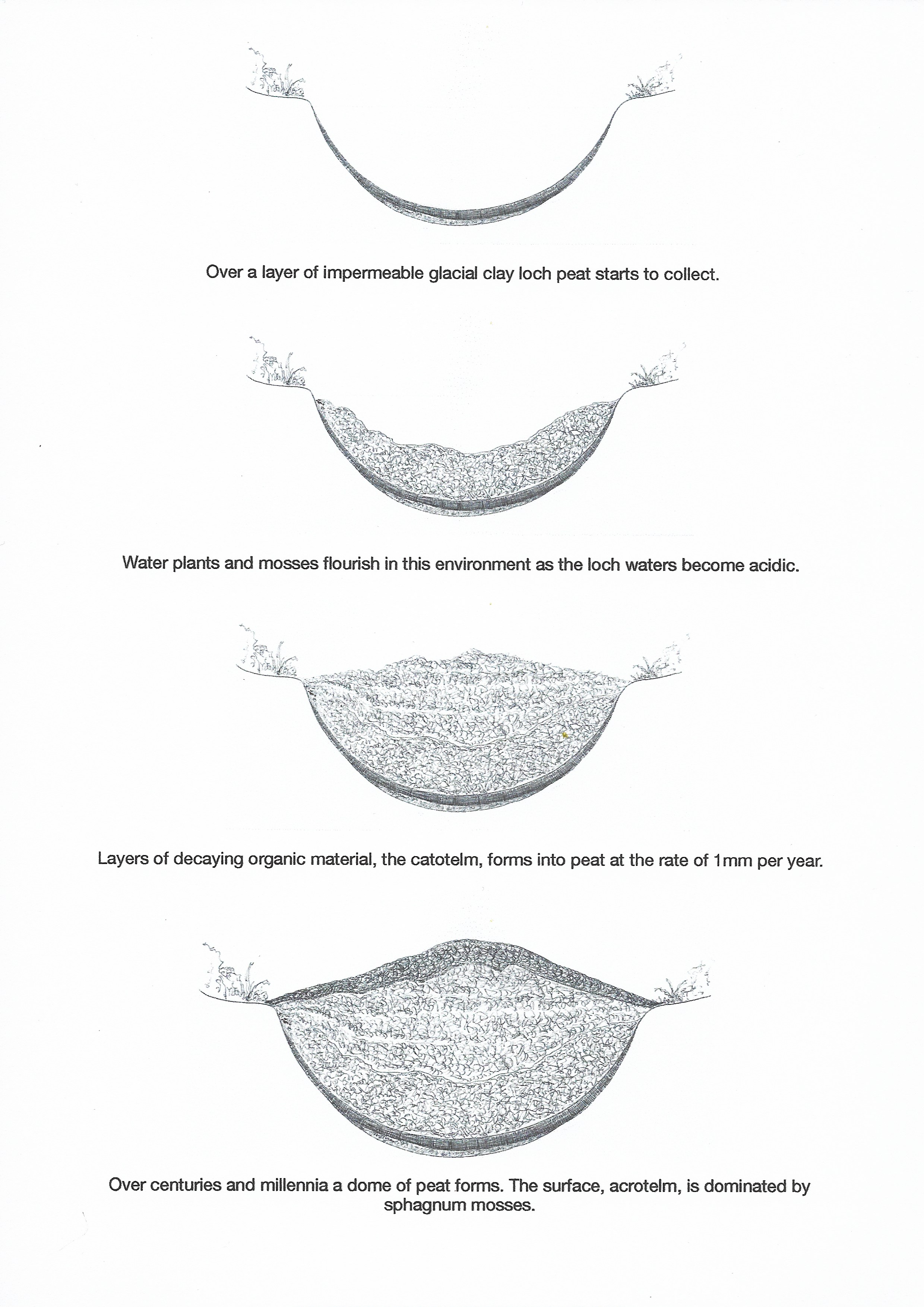 Raised peat bog formation – Robin A Crawford