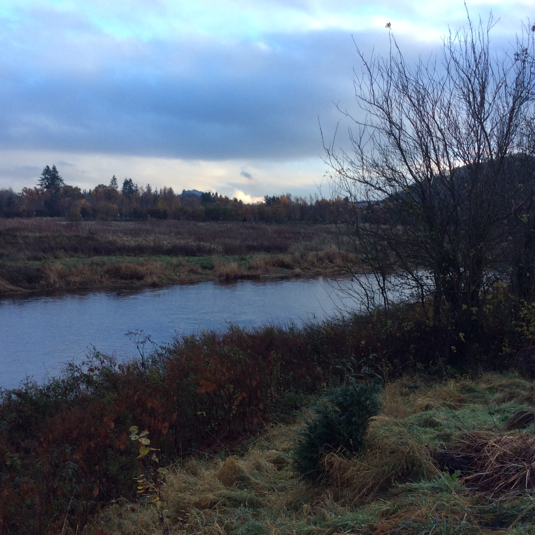 Fords of Frew – Robin A Crawford