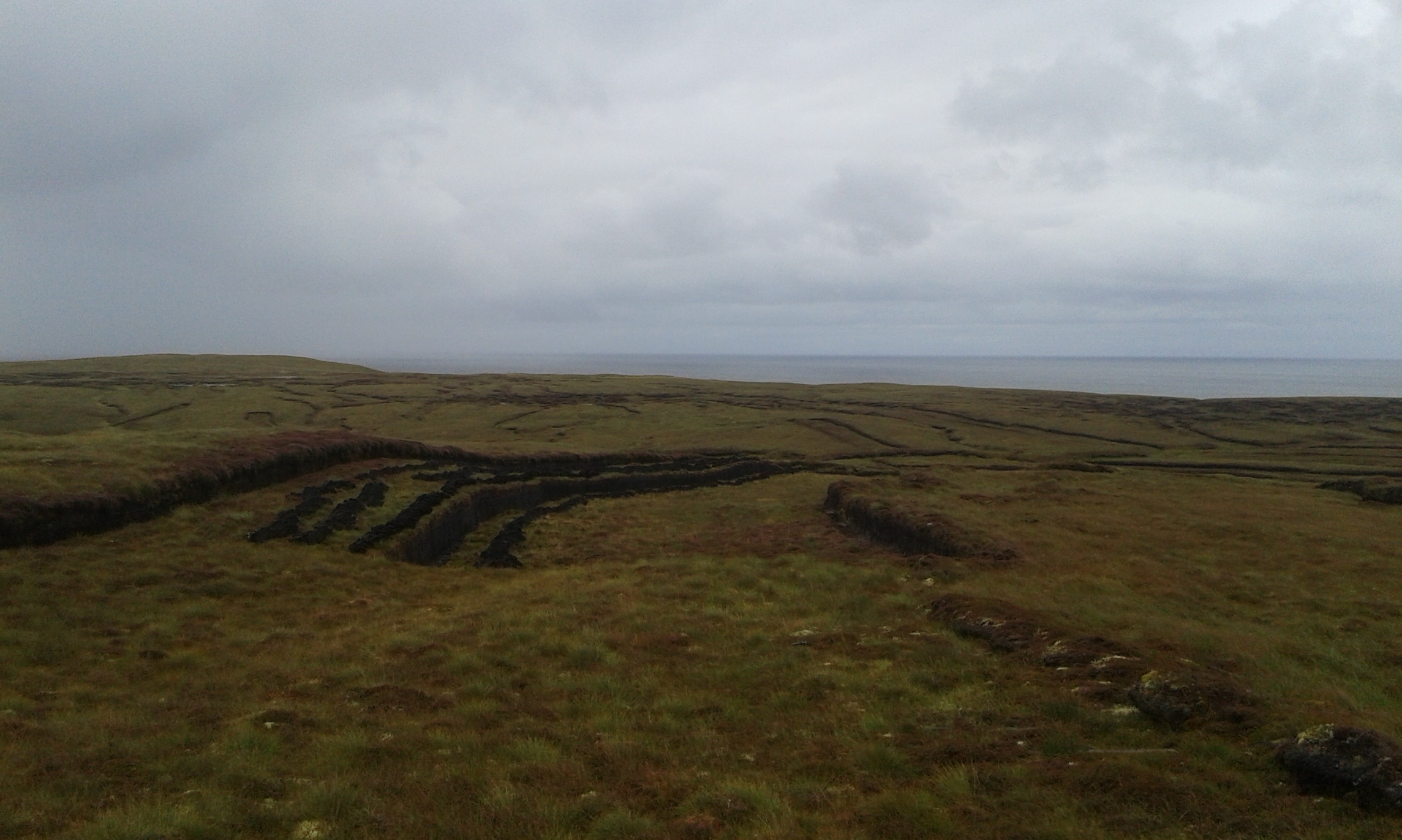 Moor lines – Robin A Crawford